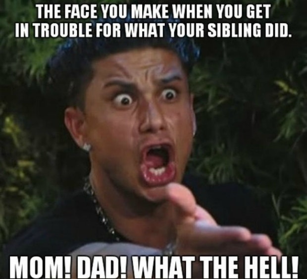 21 Best National Siblings Day Quotes And Memes For Brothers Or Sisters To